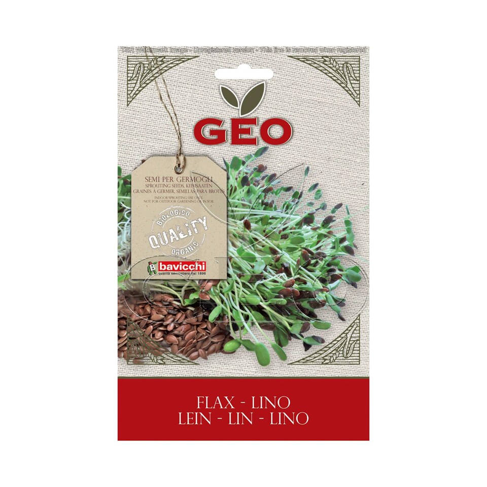Geo | Seminte raw-vegan bio in 80g | Mega-image