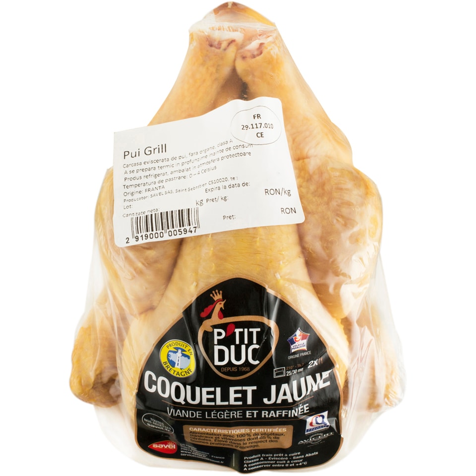 Savel | Pui Coquelet Jaune | Mega-image