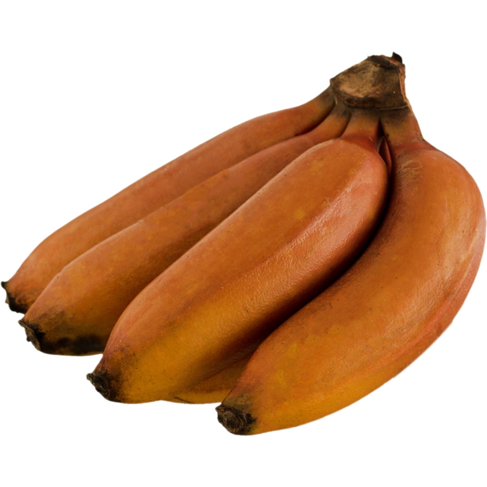 (vrac) | Banane rosii | Mega-image