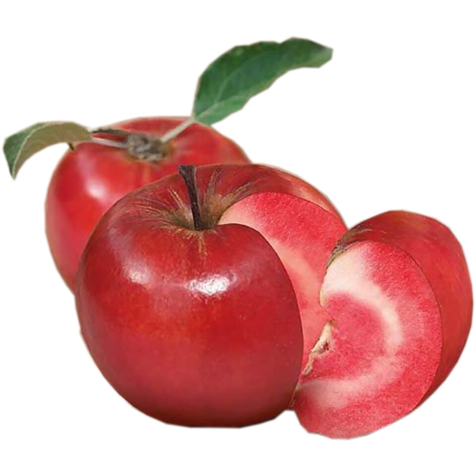 (vrac) | Mere red love | Mega-image