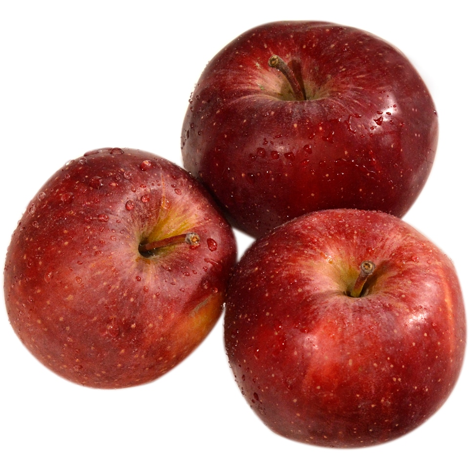 Gusturi romanesti | Mere bot de iepure | Mega-image