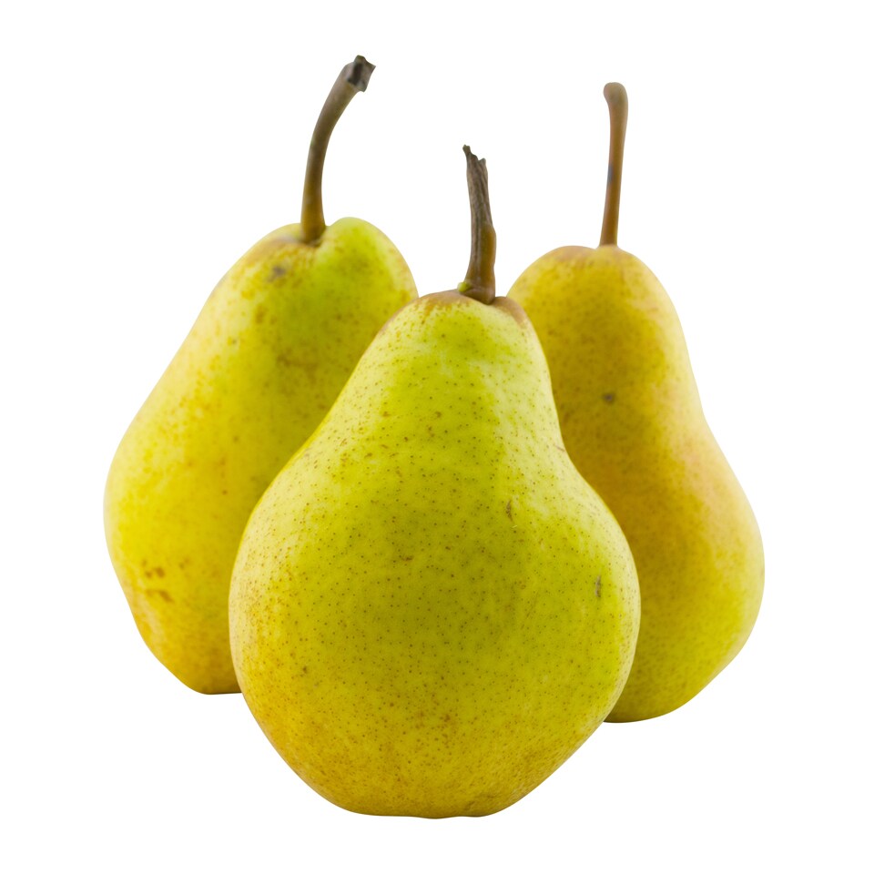 (vrac) | Pere Conference | Mega-image