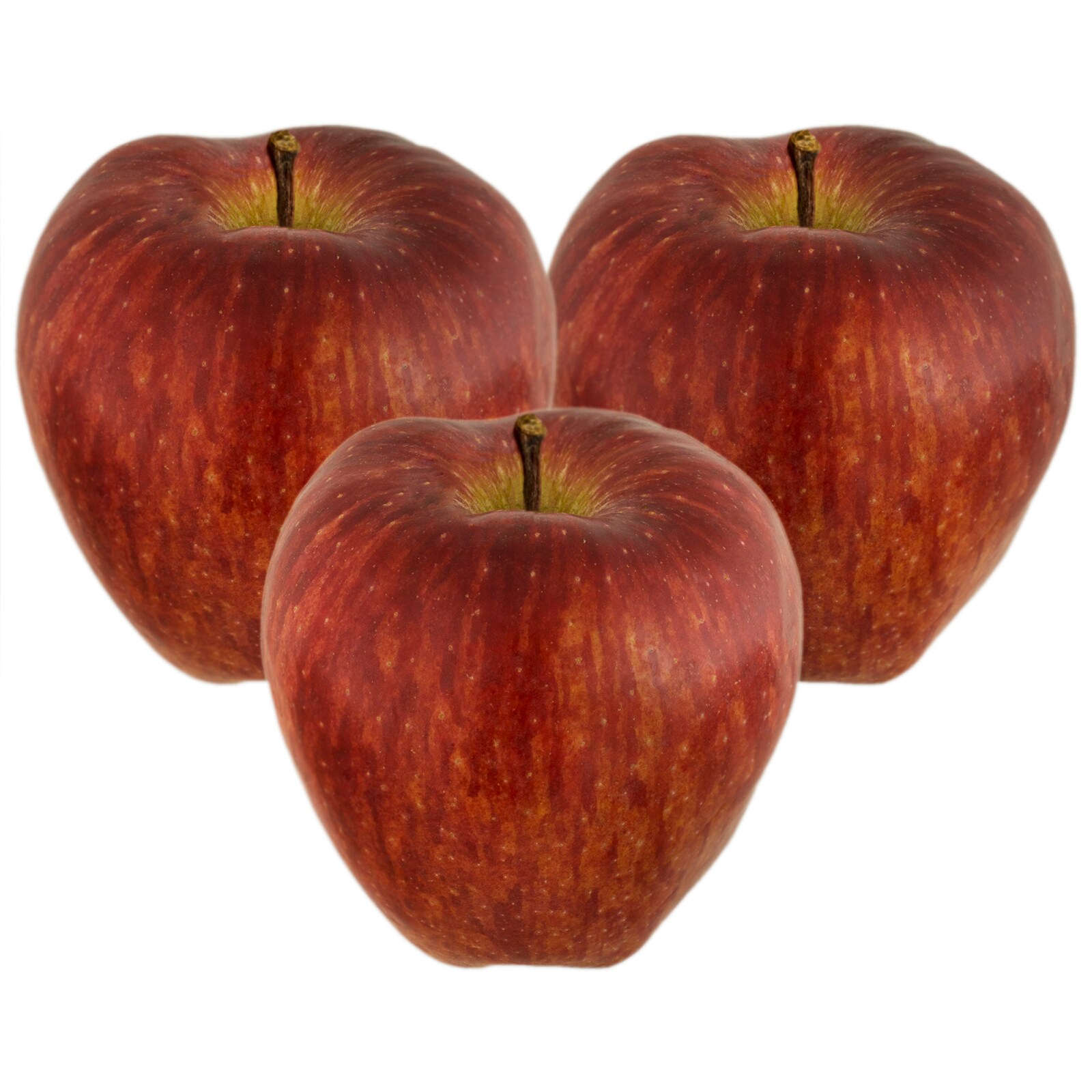 (vrac) | Mere Red Chief | Mega-image