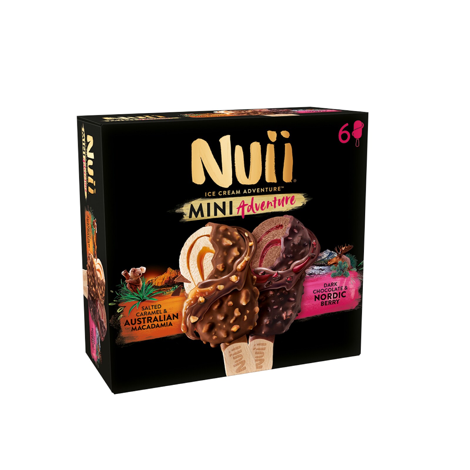 Nuii | Inghetata caramel sarat si macadamia, ciocolata neagra si fructe ...