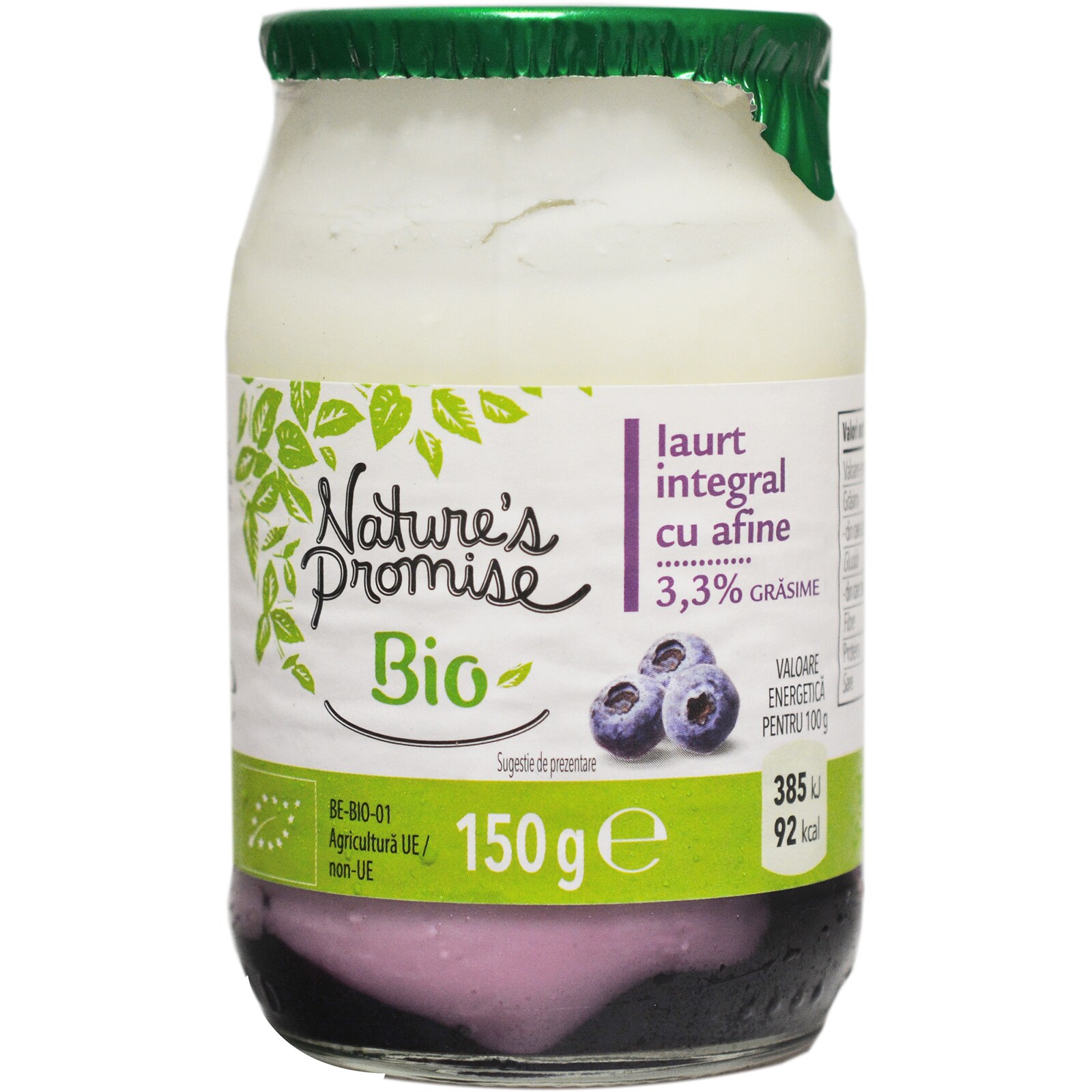 Nature's Promise Bio | Iaurt integral bio cu afine 3.3% grasime 150g ...